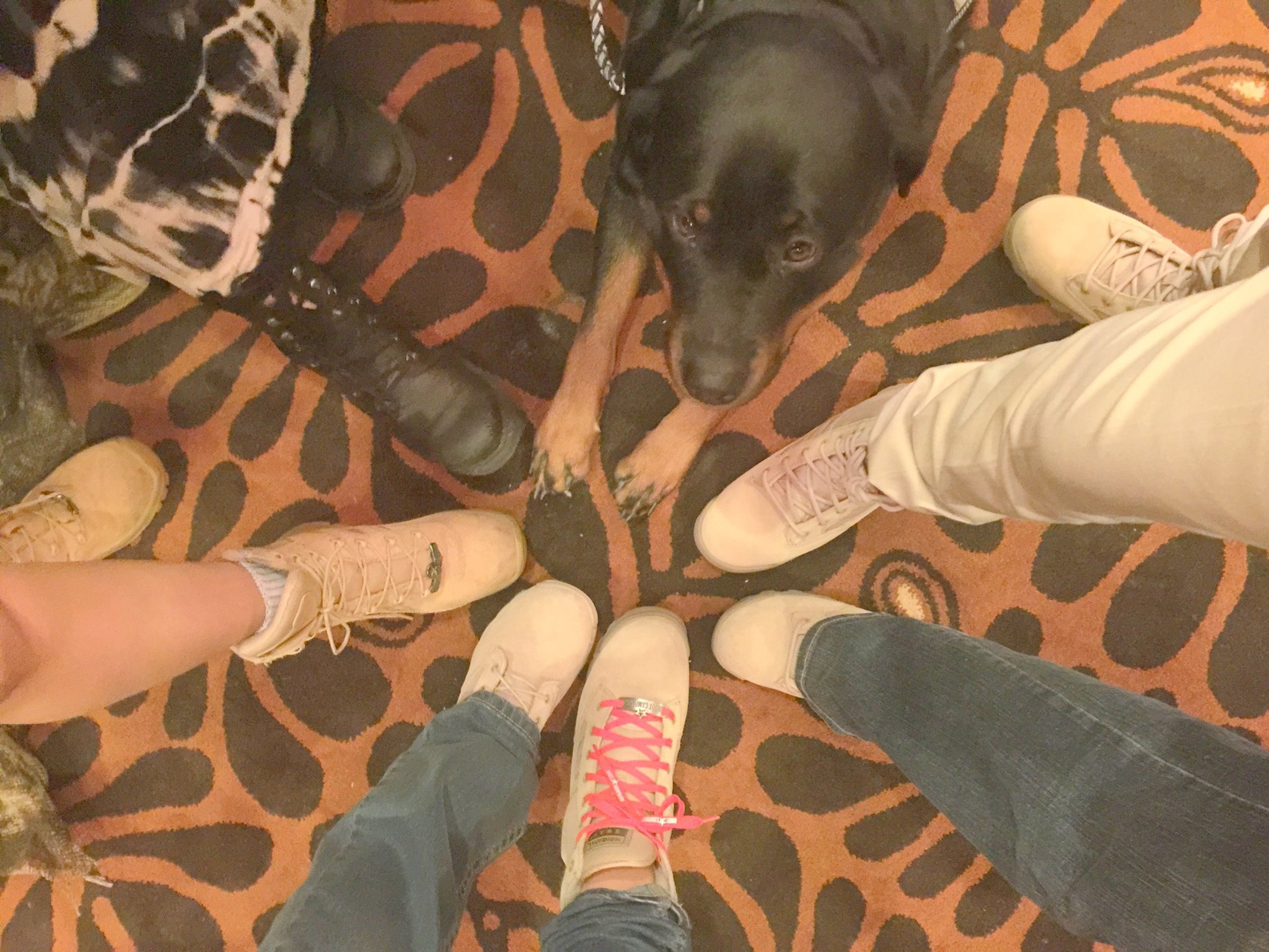 GuardianServiceDogsLLC-service dog training-paws in | Guardian Service Dogs