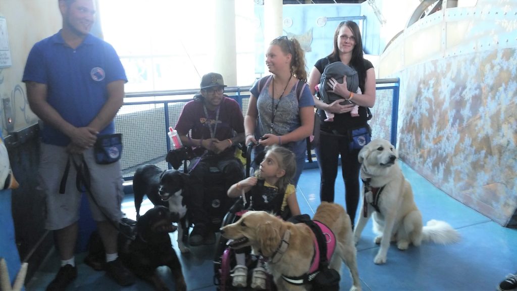 Service Dog Training | Guardian Service Dogs