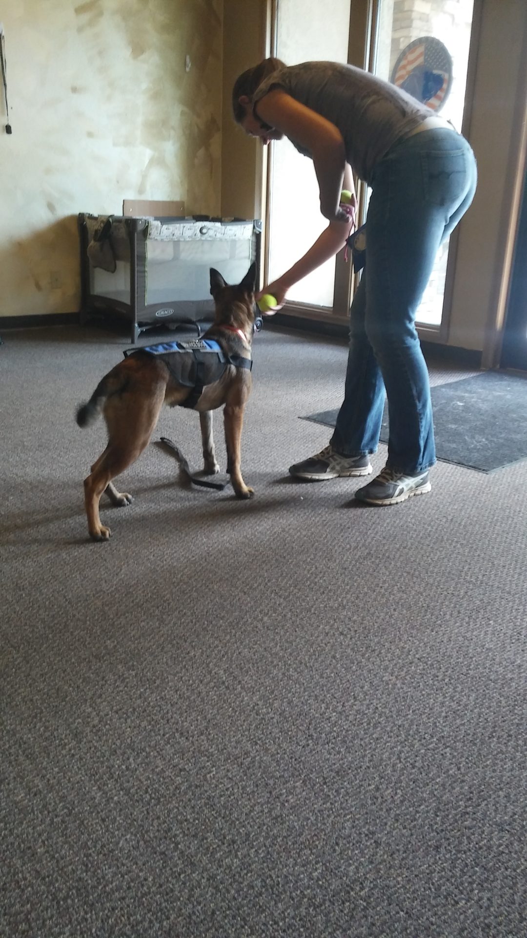 Service Dog Training | Guardian Service Dogs