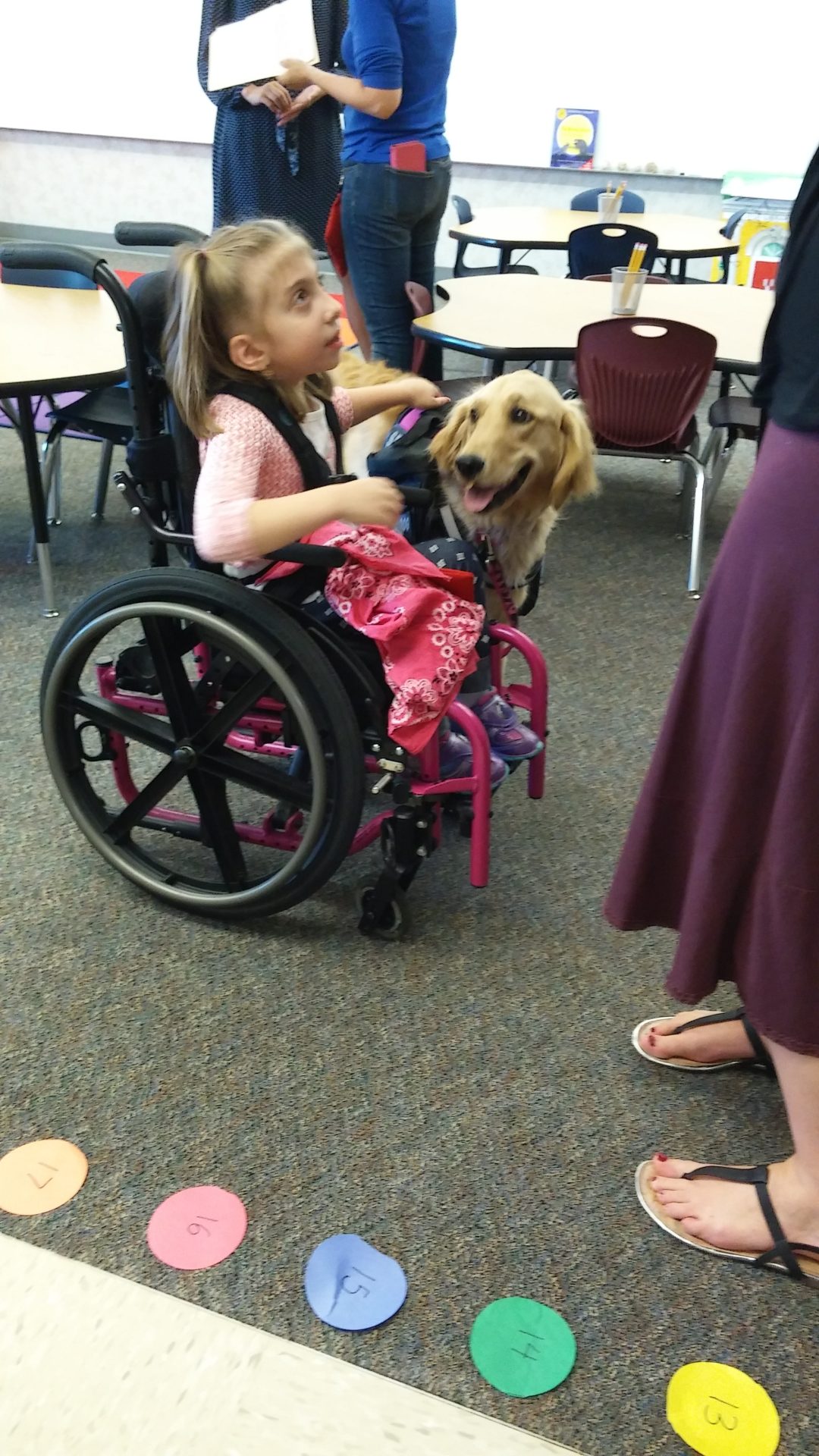 Service Dog Training | Guardian Service Dogs