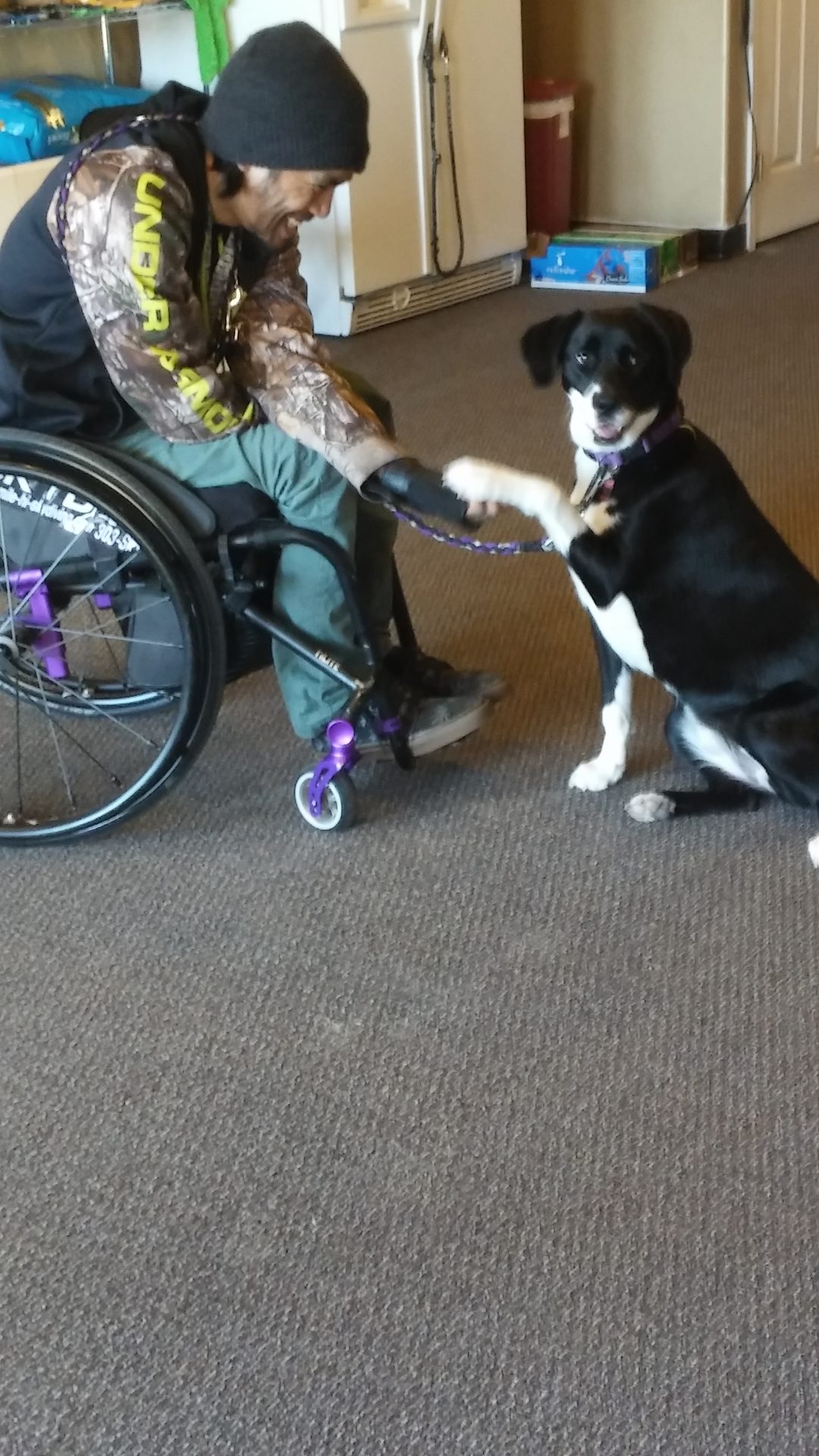 Service Dog Training | Guardian Service Dogs